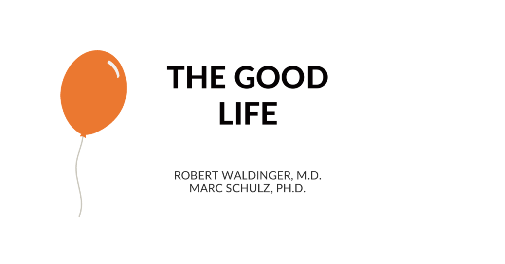 The Good Life Book Summary